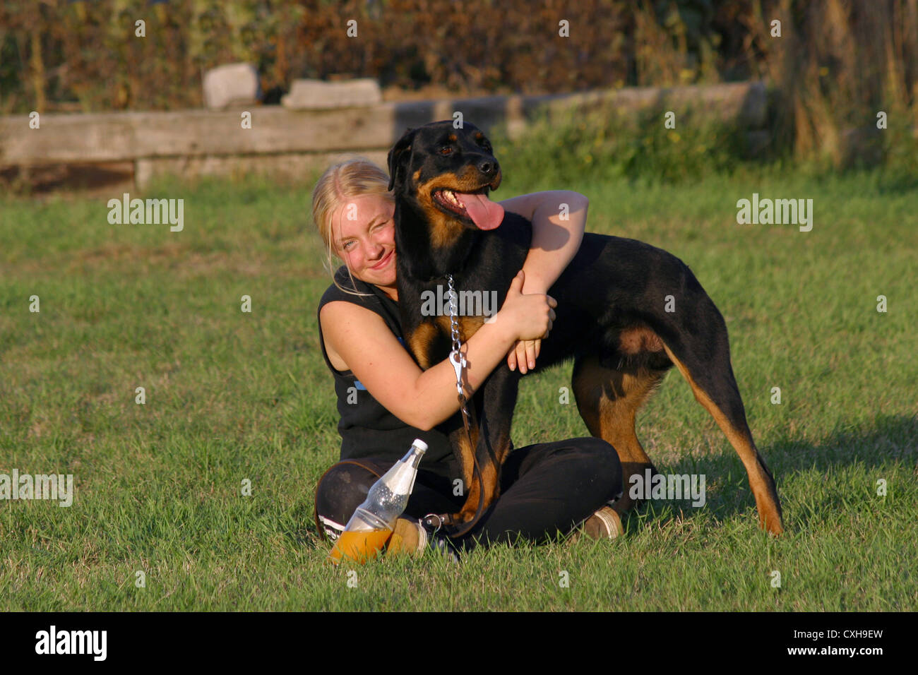 young woman with Rottweiler Stock Photo - Alamy