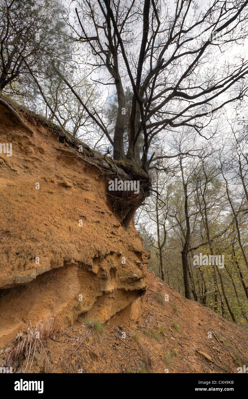 Lower greensand hi-res stock photography and images - Alamy