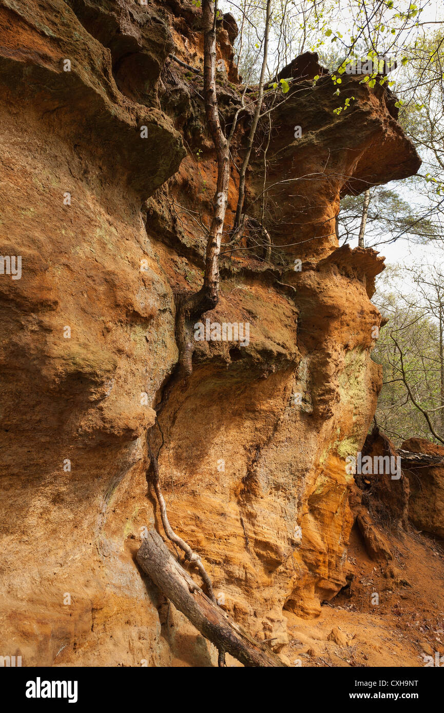 Calcareous Sandy Soil High Resolution Stock Photography and Images - Alamy