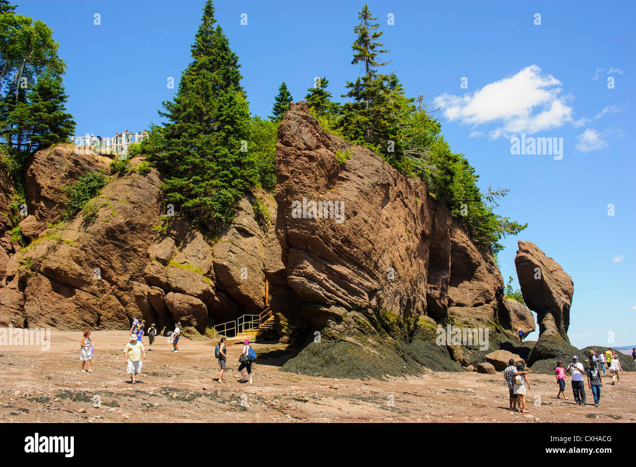 Hopewell Rocks at low tide in New Brunswick Stock Photo - Alamy