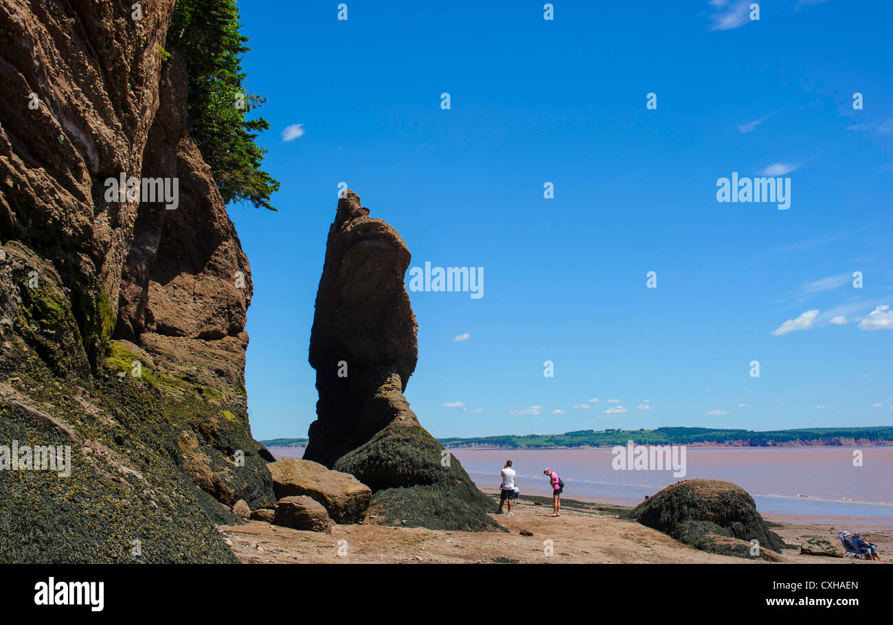 Hopewell Rocks at low tide in New Brunswick Stock Photo - Alamy