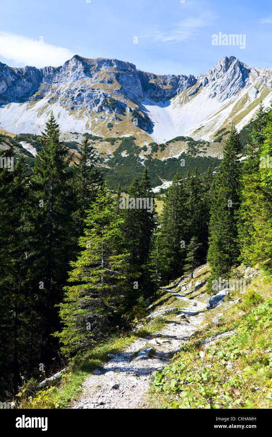 Alpine forest hi-res stock photography and images - Alamy