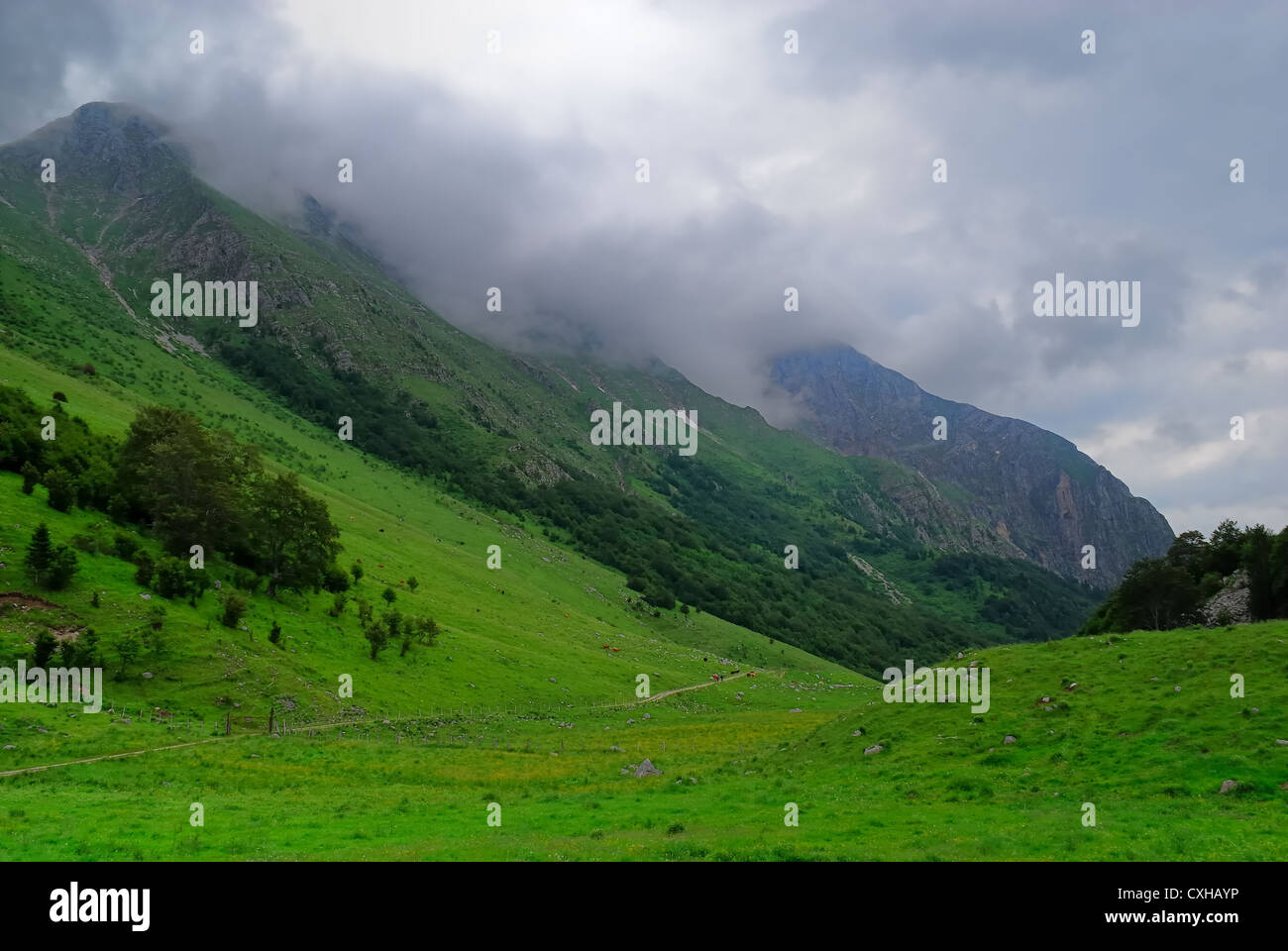 Slovenia, Triglav National Park, Mount Krn ( 2245 m.) viewed from ...