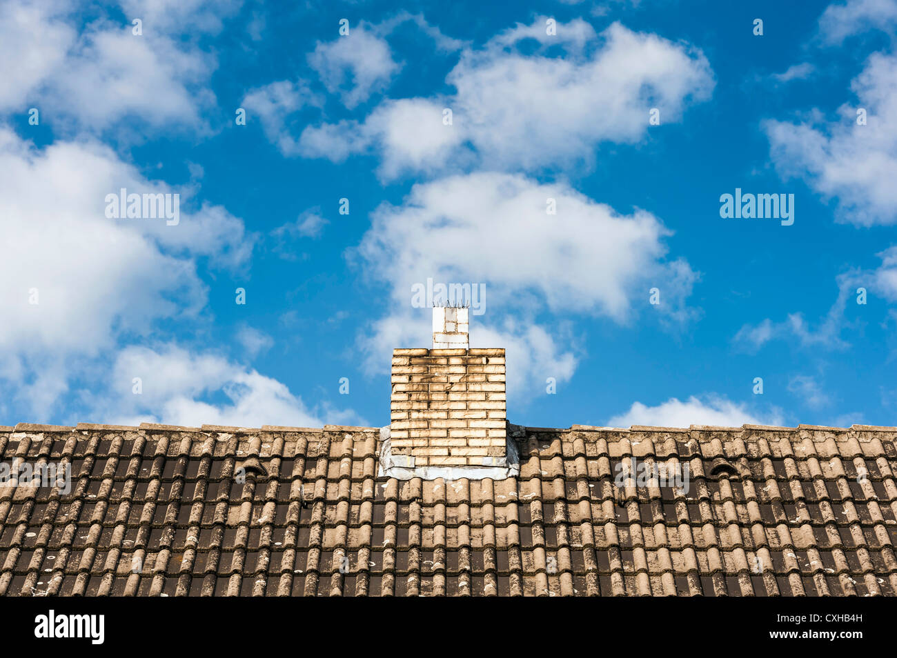Germany, North Rhine Westphalia, Duesseldorf, View of tiled roof with ...