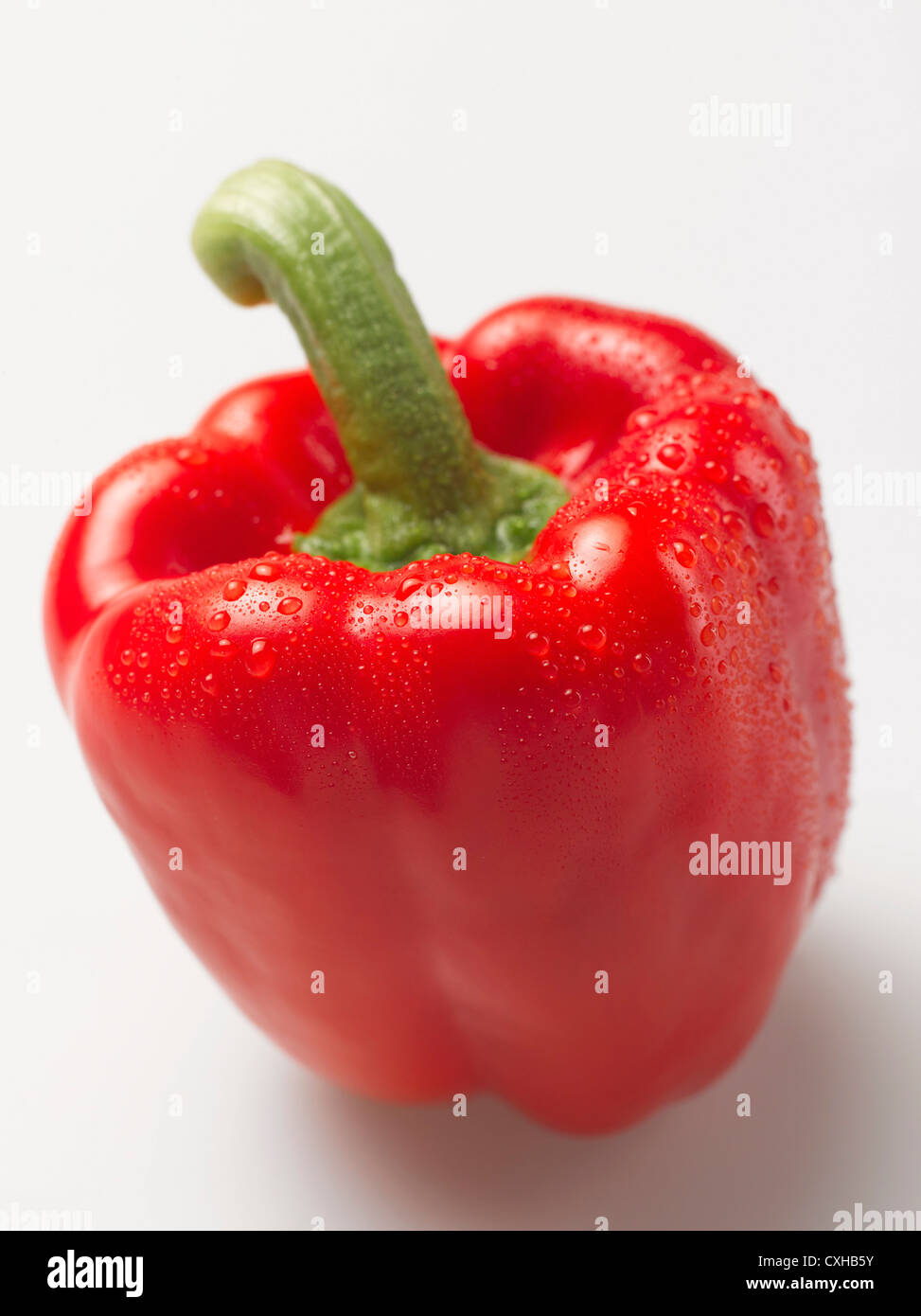 Red bell pepper on white background, close up Stock Photo - Alamy
