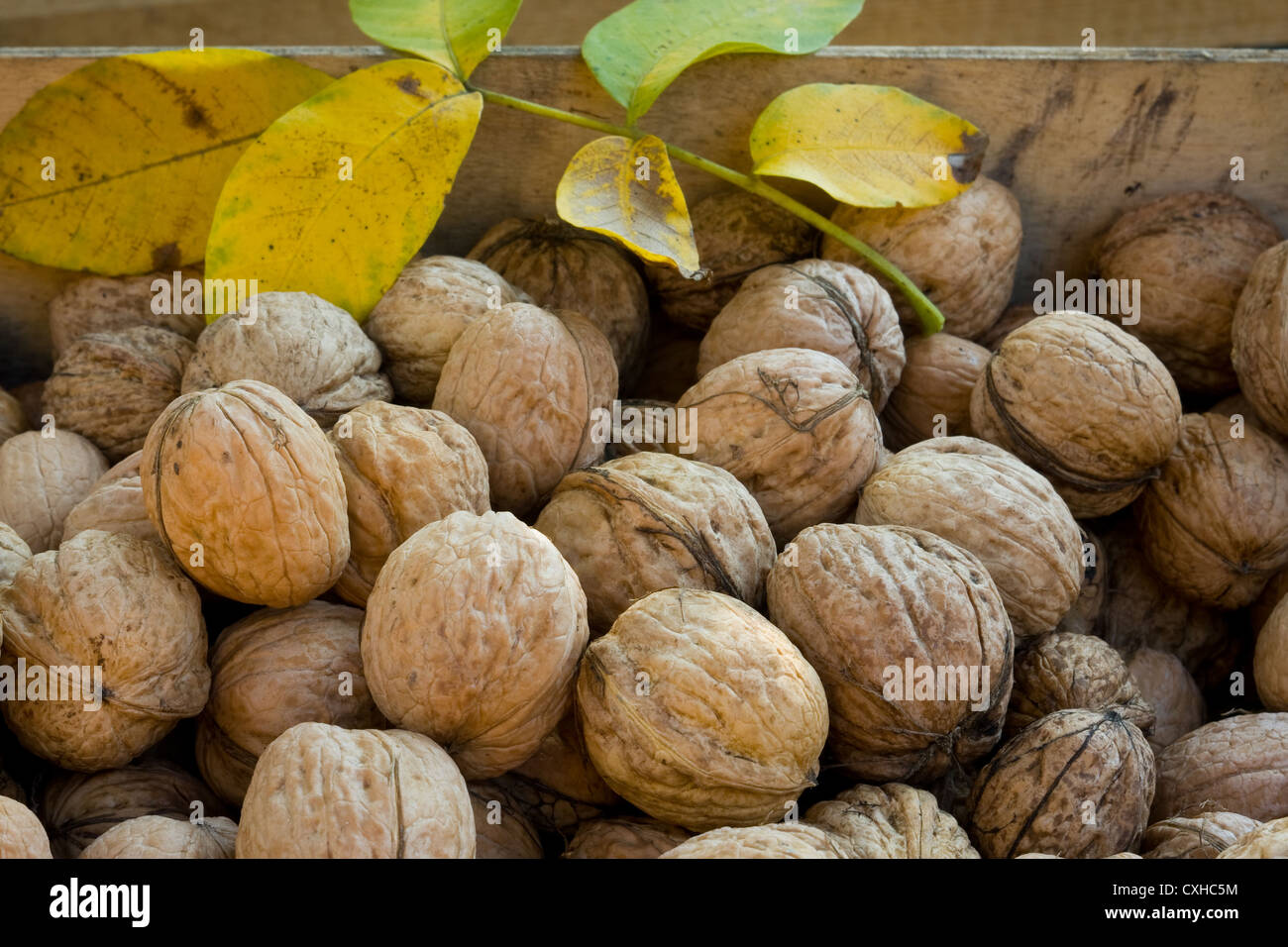 Nut basket hi-res stock photography and images - Alamy