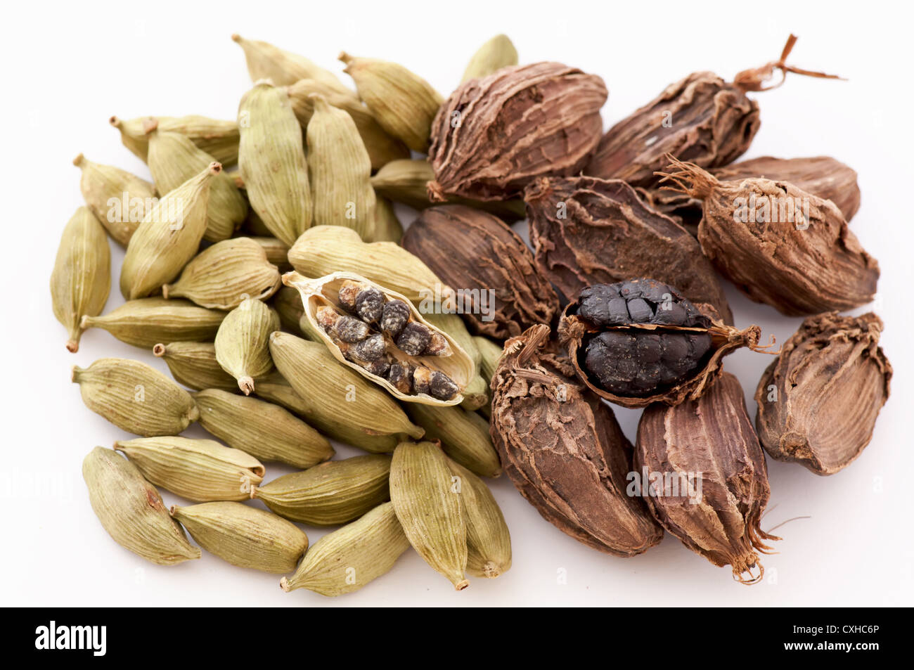 Black Cardamom