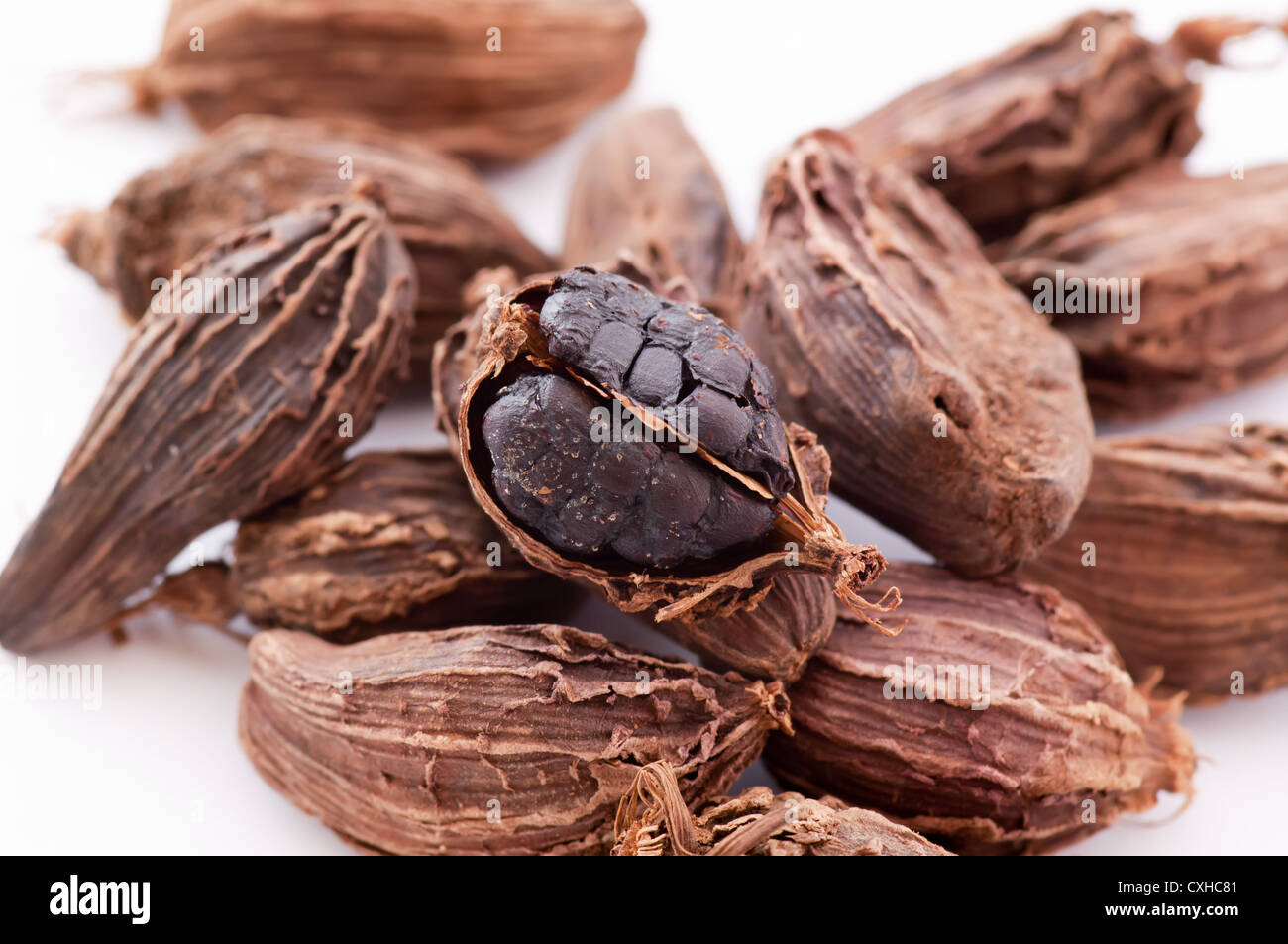 Black cardamom seed as closeup on white background Stock Photo - Alamy