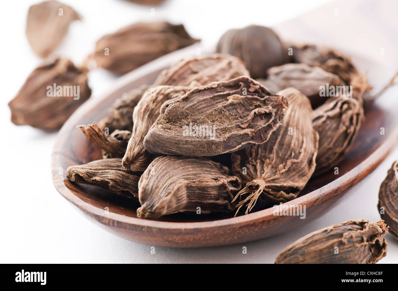 Black cardamom as closeup on spoon on white background Stock Photo - Alamy