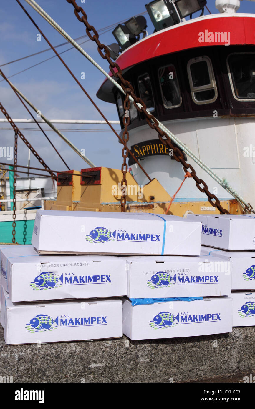 Newlyn harbour Cornwall local fishing boat with catch boxed in Makimpex ...