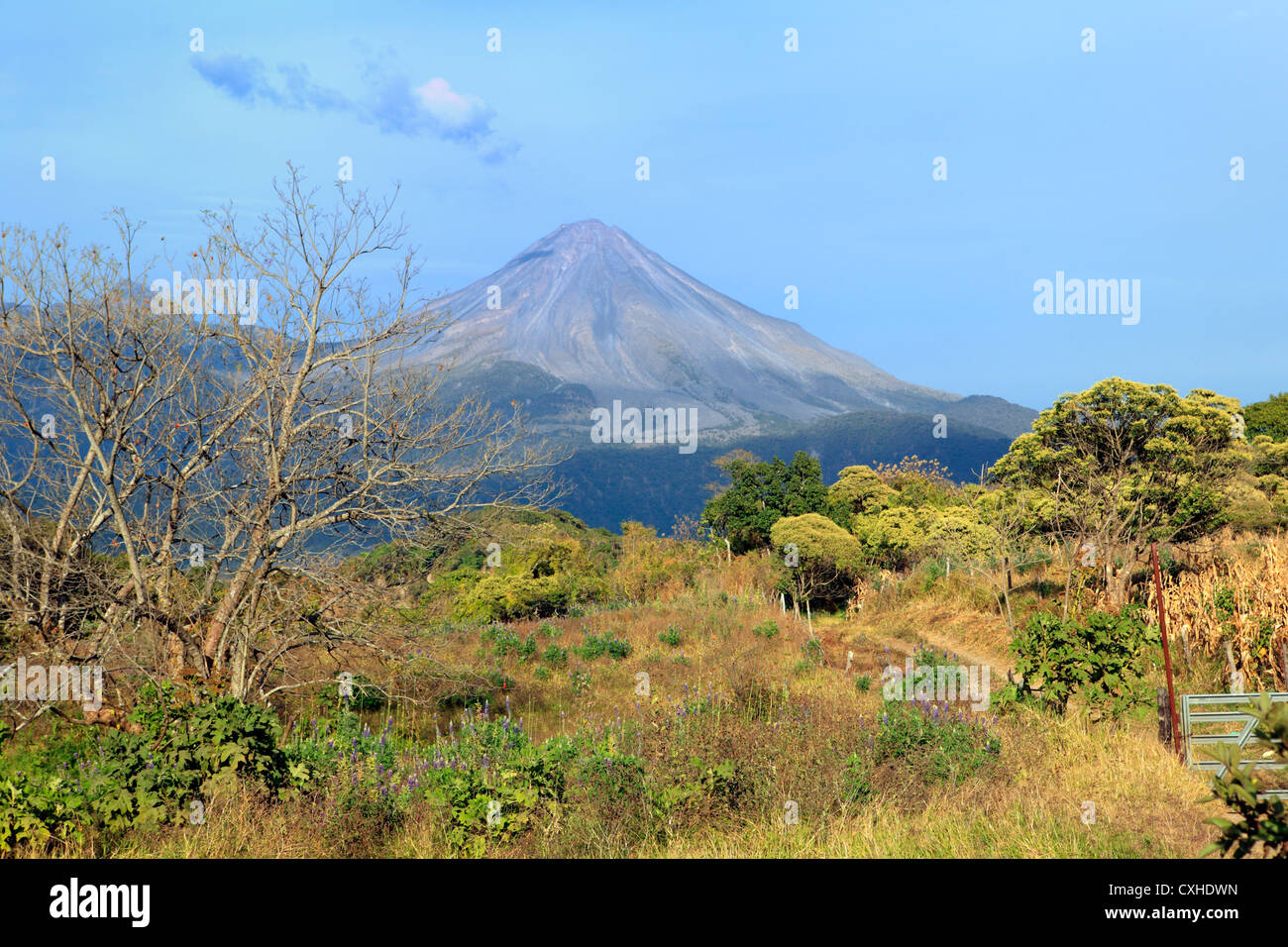 Colima Volcano, Colima, Mexico Stock Photo - Alamy