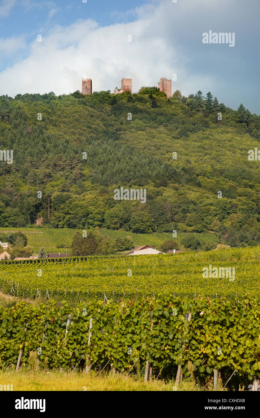 Fortified castles of Husseren-les-chateaux in Alsace, France Stock ...