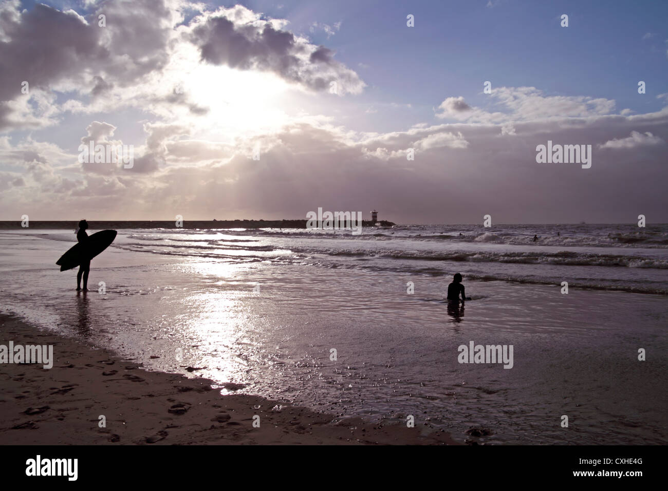 Surfer at sunset ready to surf at Scheveningen beach in the Netherlands ...
