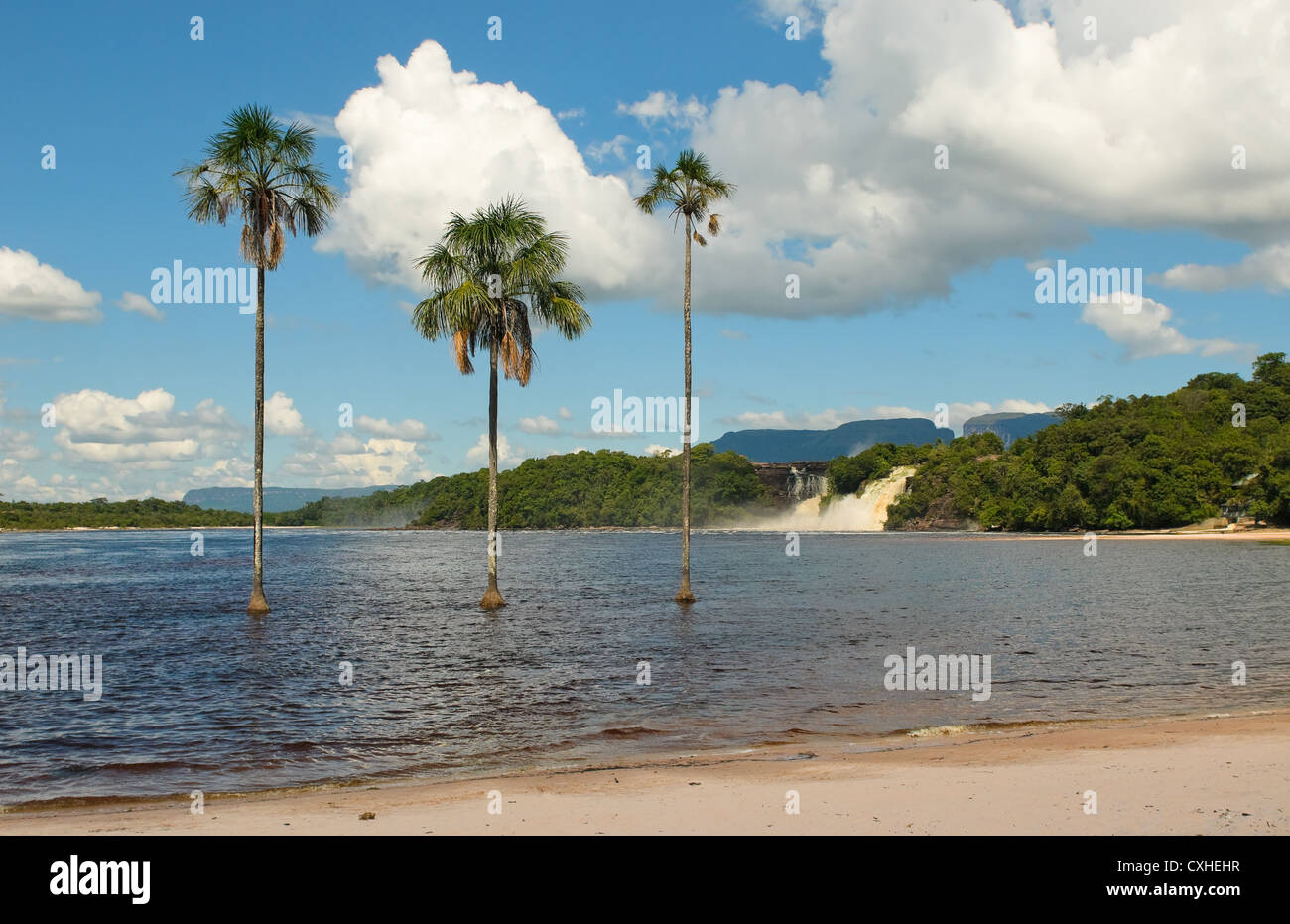 Canaima lagoon hi-res stock photography and images - Alamy