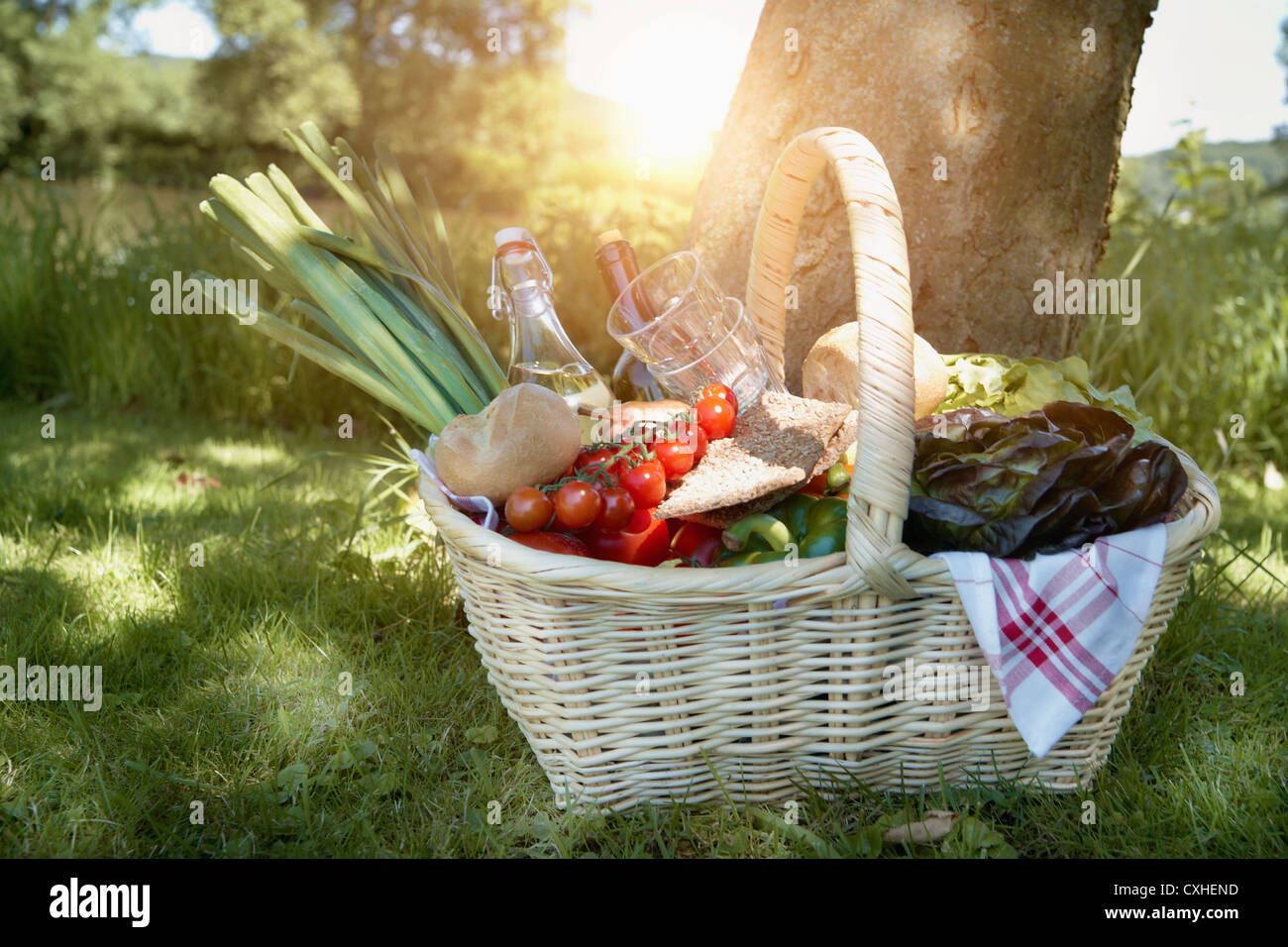 Germany, Cologne, View of picnic basket Stock Photo - Alamy