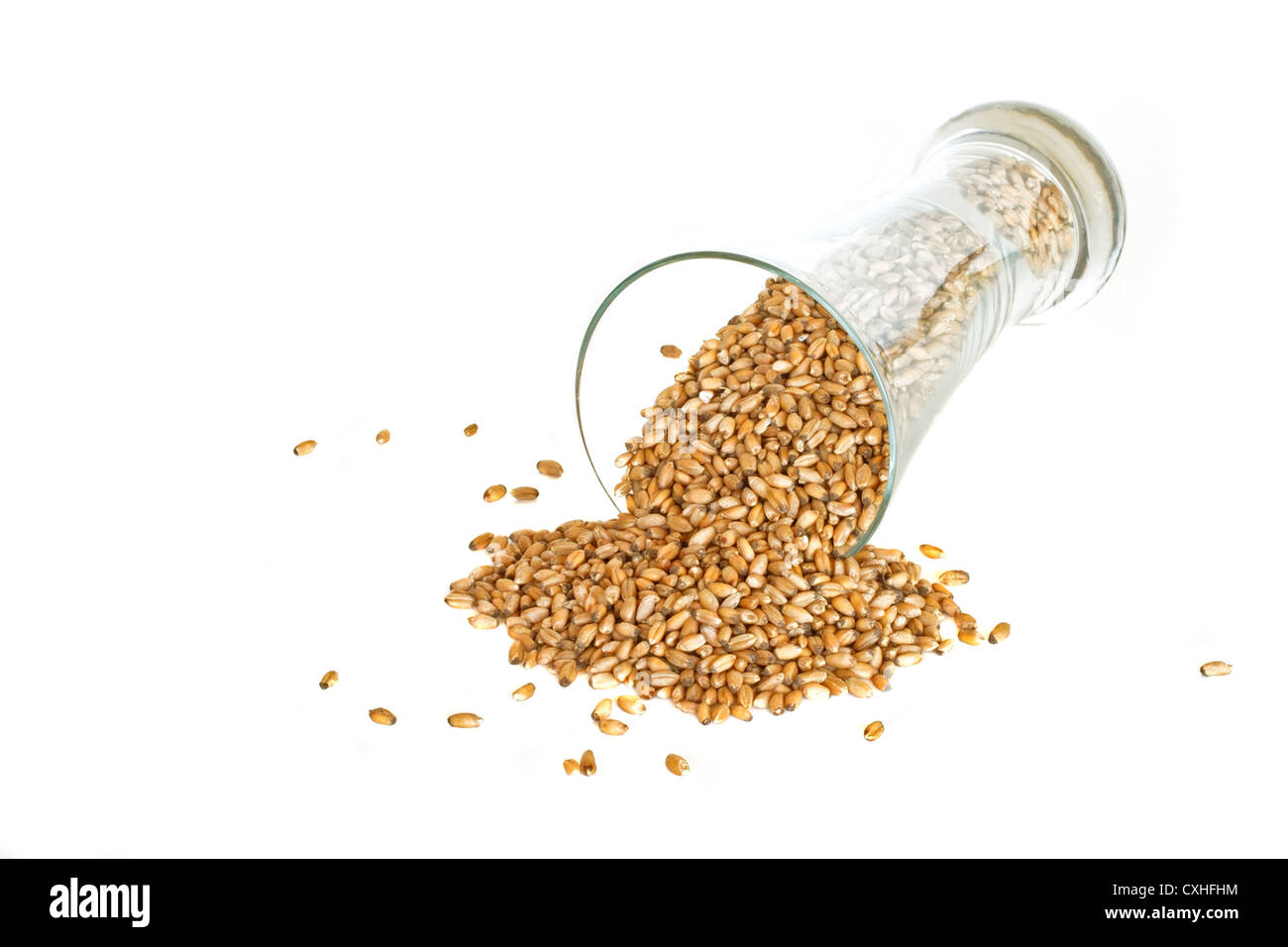 Amber grains of wheat hi-res stock photography and images - Alamy