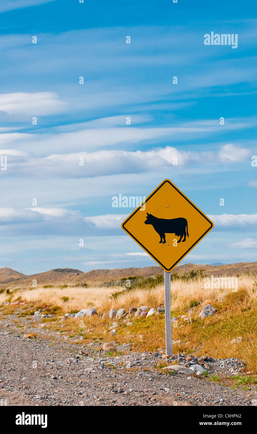 cattle crossing warning road sign Stock Photo - Alamy