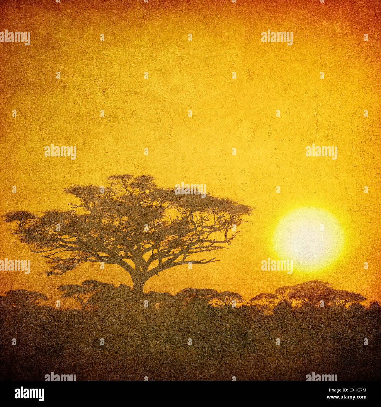Savannah tree hi-res stock photography and images - Alamy