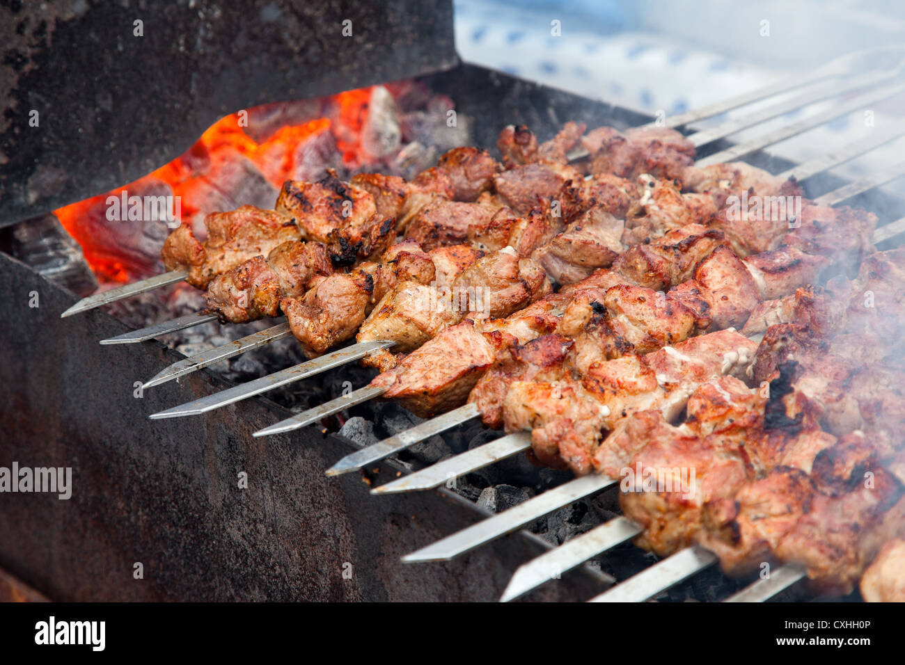Appetizing fresh meat shish kebab (shashlik) prepared on a grill wood ...