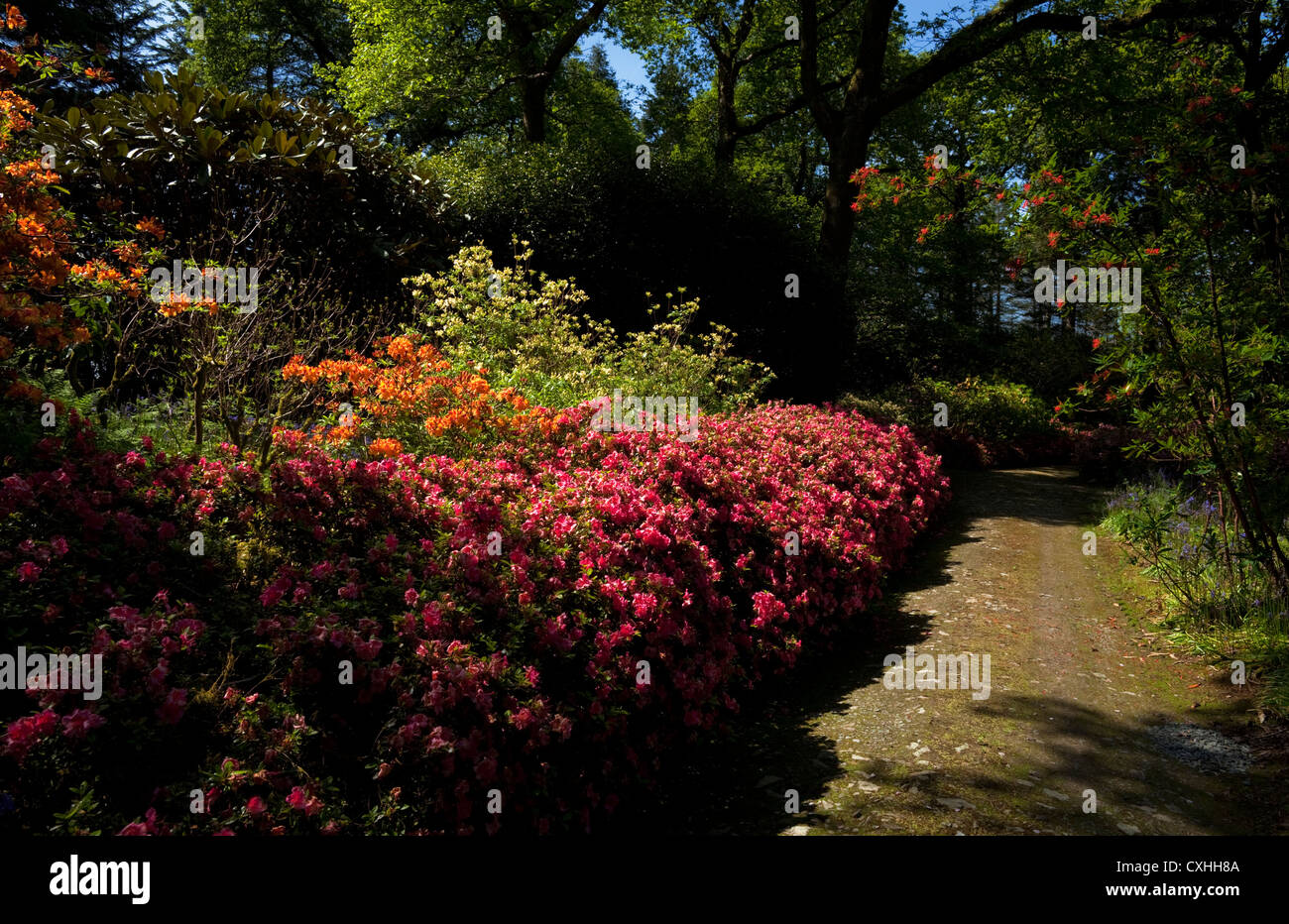 Colourful pathway hi-res stock photography and images - Alamy