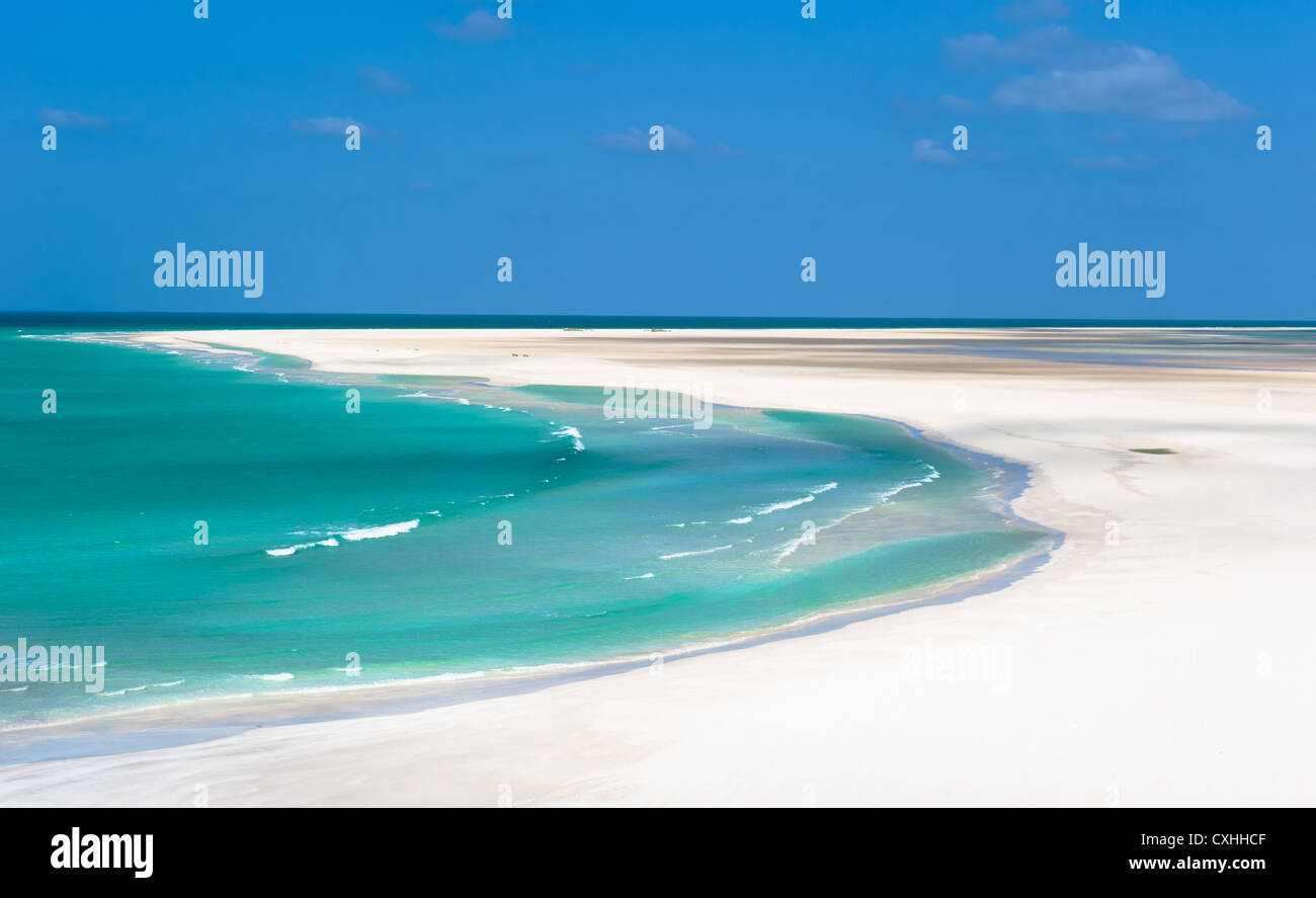 Socotra island yemen hi-res stock photography and images - Alamy