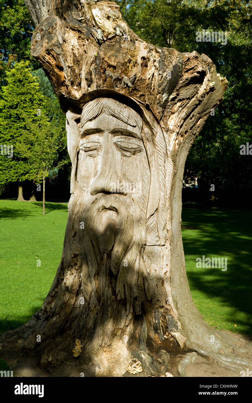 tree with face of man carved into it thompsons park canton cardiff ...