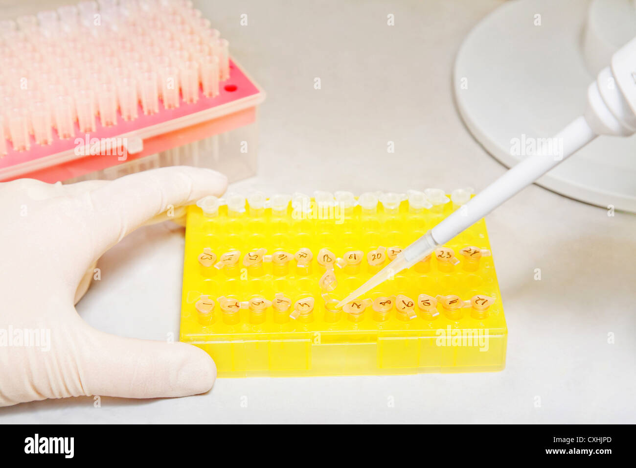 Human biology lab hi-res stock photography and images - Alamy