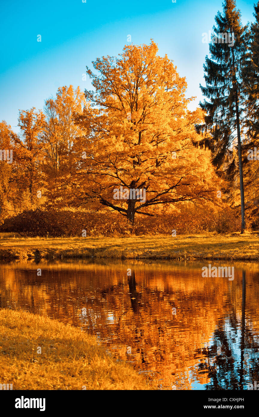Autunm landscape hi-res stock photography and images - Alamy
