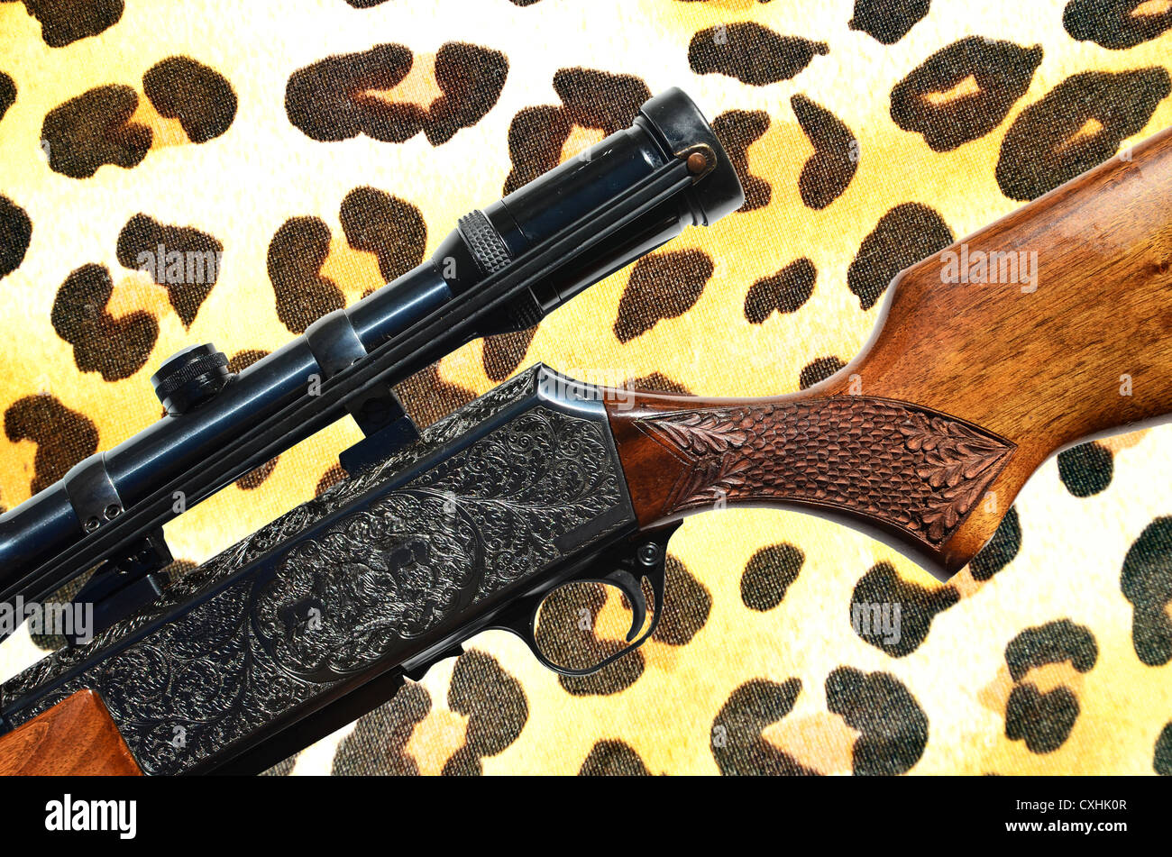 Hunting rifle alaska hi-res stock photography and images - Alamy