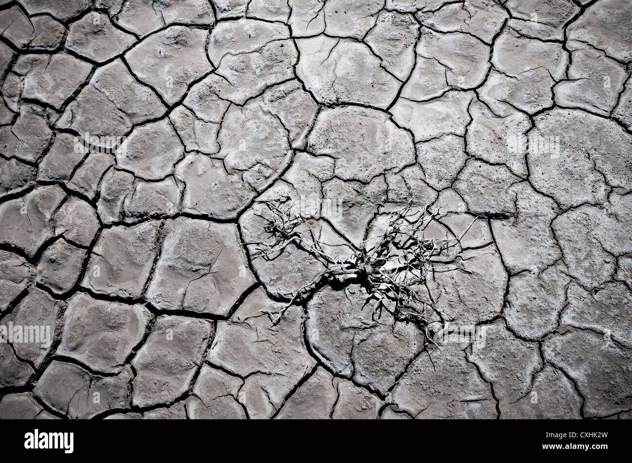 Cracked soil of desert Stock Photo - Alamy