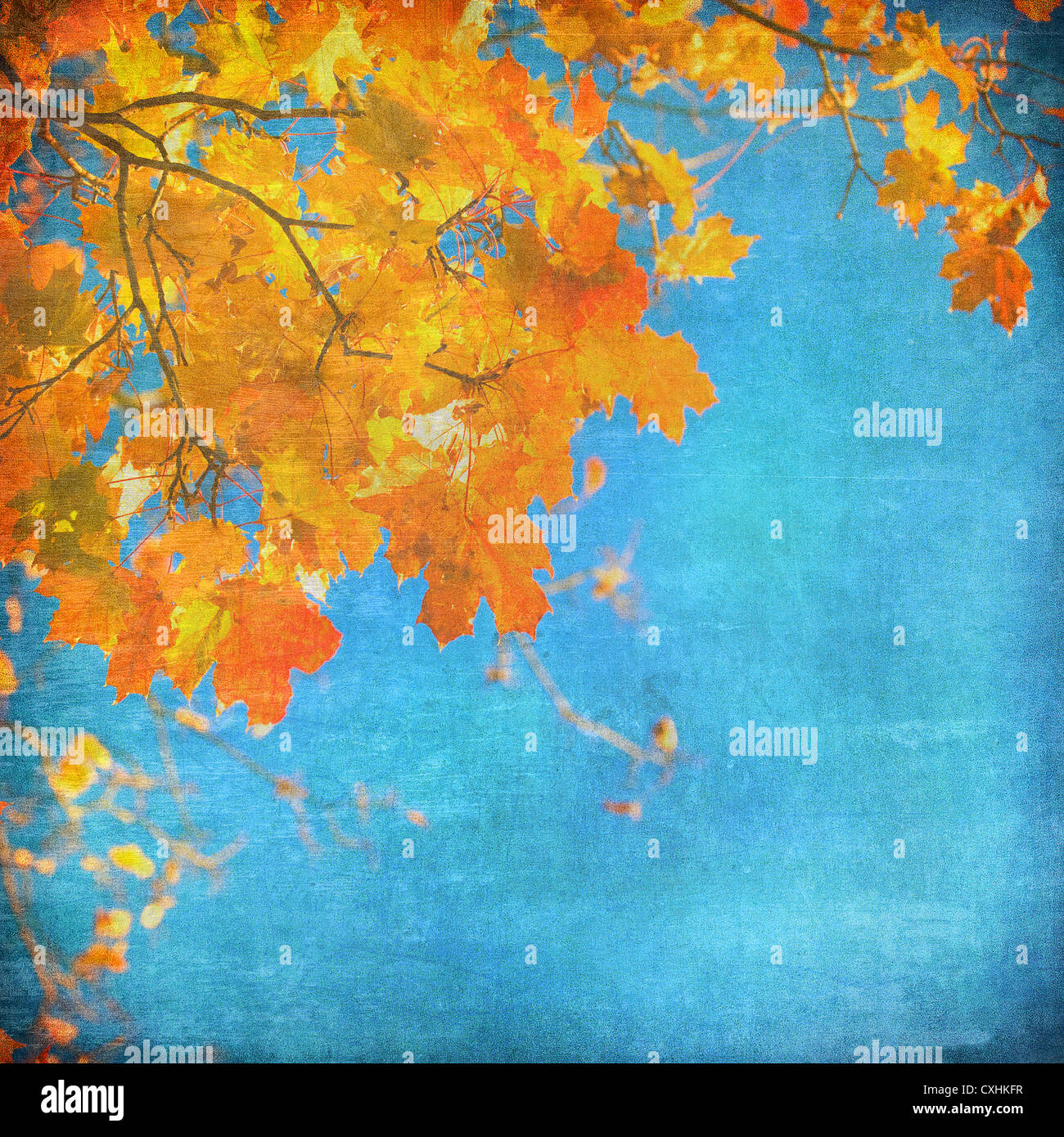 grunge background with autumn leaves Stock Photo - Alamy