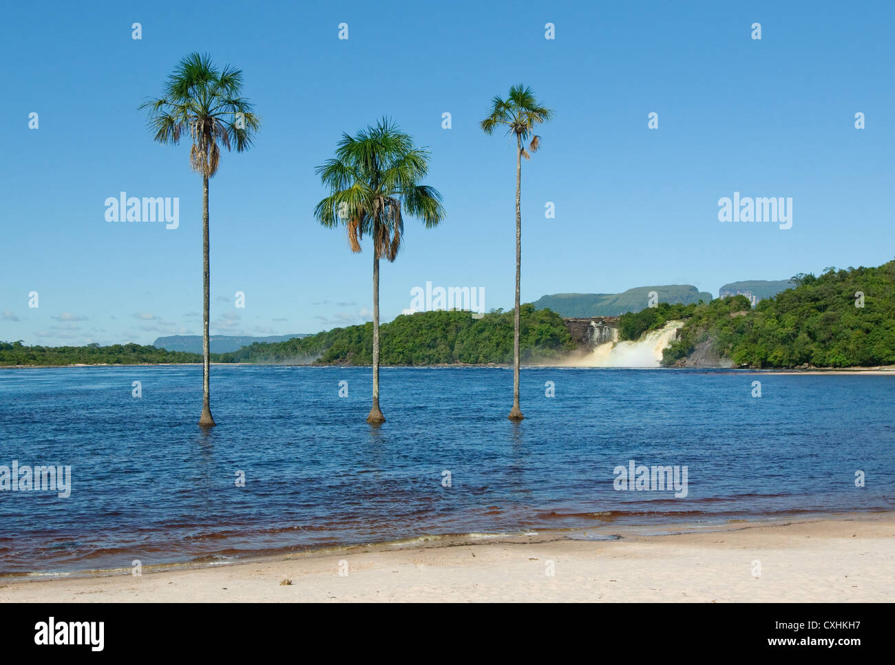 Lagoon of canaima hi-res stock photography and images - Alamy