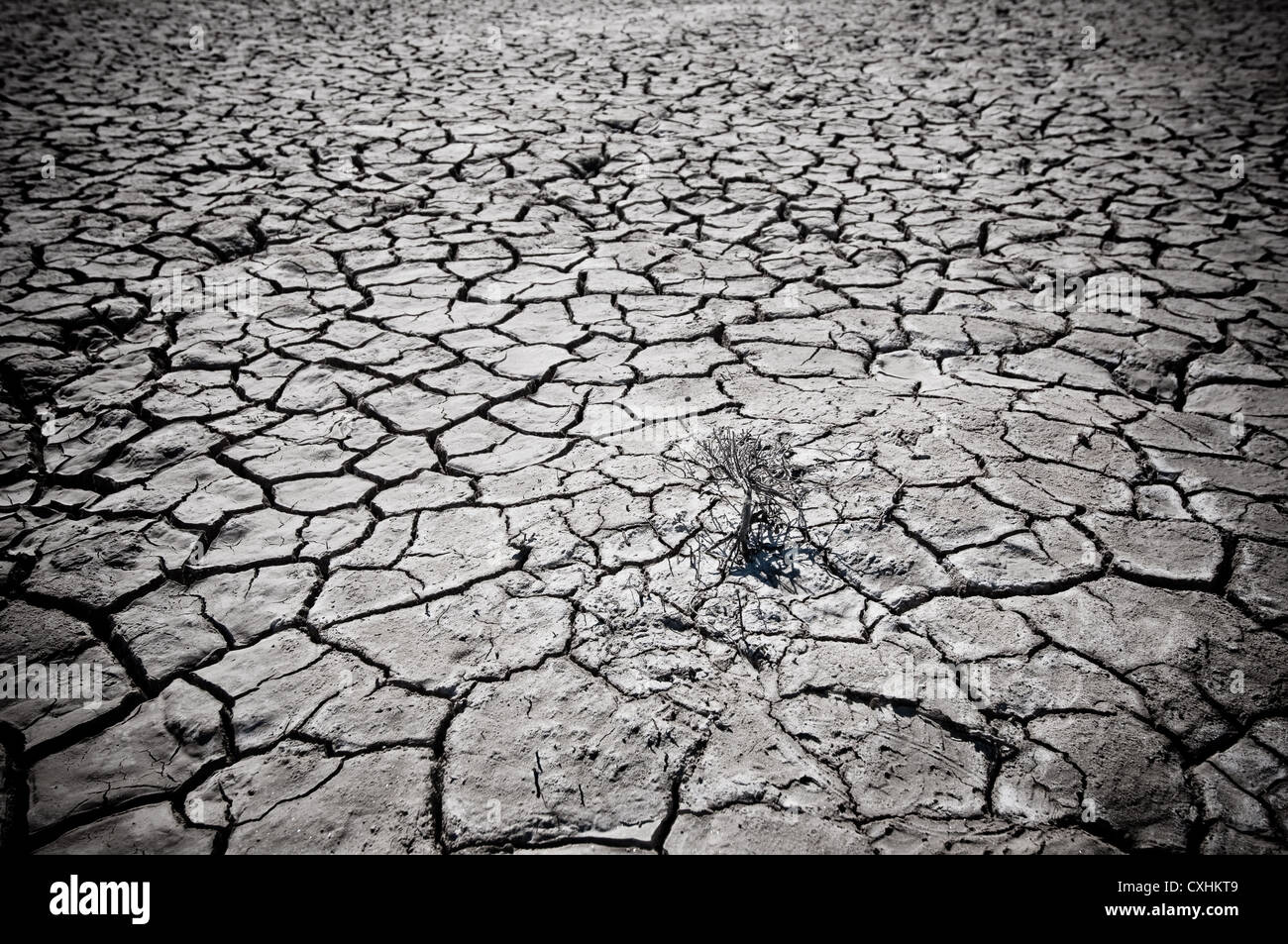Damaged soil structure hi-res stock photography and images - Alamy