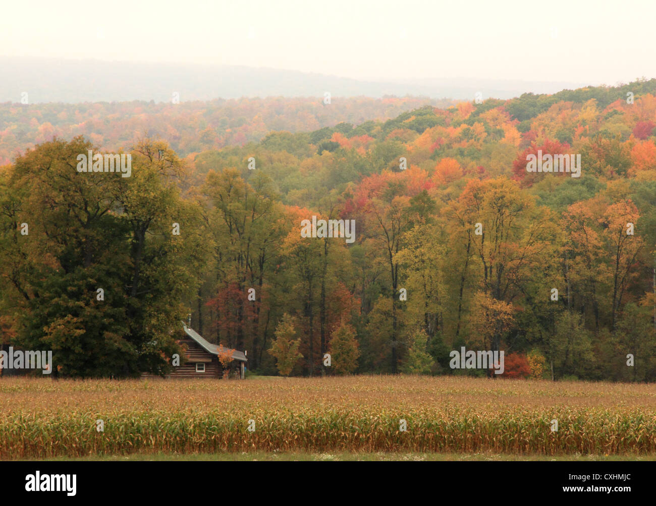 Log cabin autumn hi-res stock photography and images - Alamy