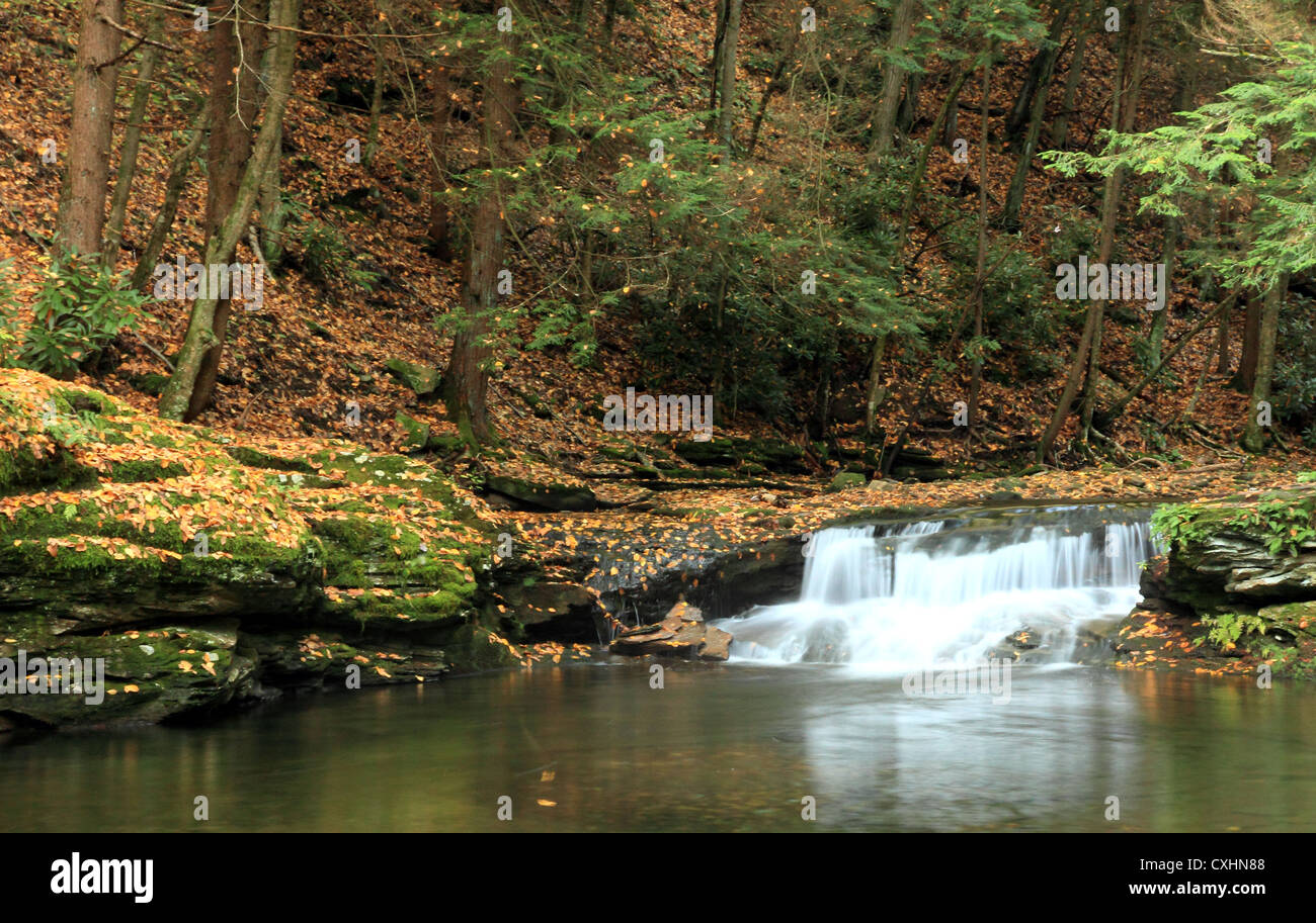 A waterfall in an eastern forest Stock Photo - Alamy