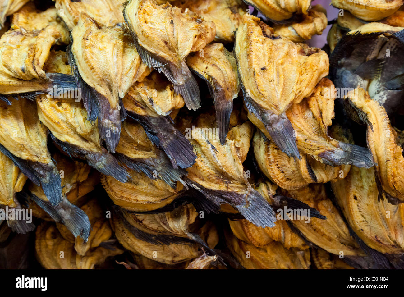 Dried Fish on a Fish Market in Chiang Mai in Thailand Stock Photo - Alamy