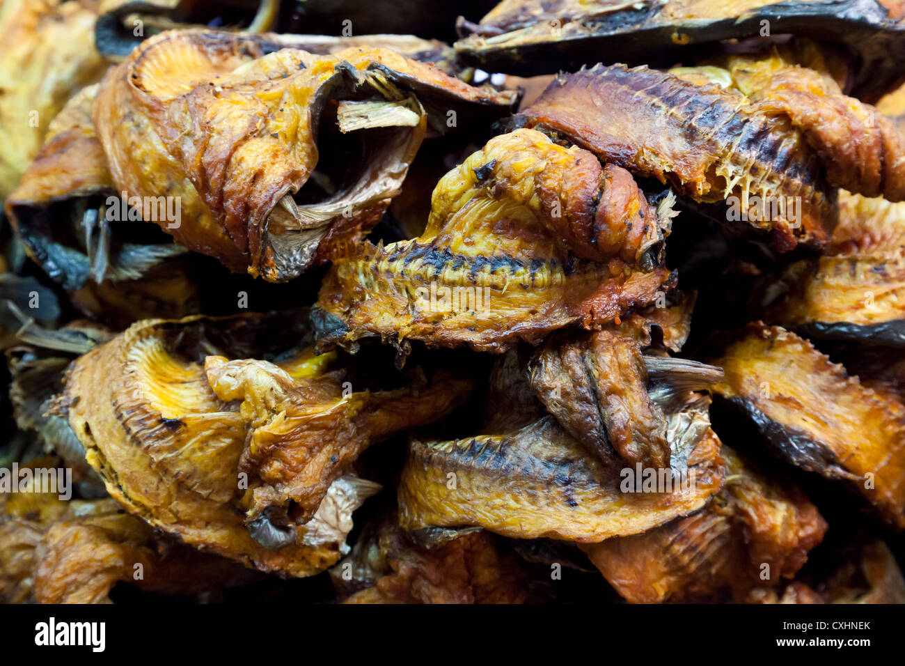 Dried Fish on a Fish Market in Chiang Mai in Thailand Stock Photo - Alamy