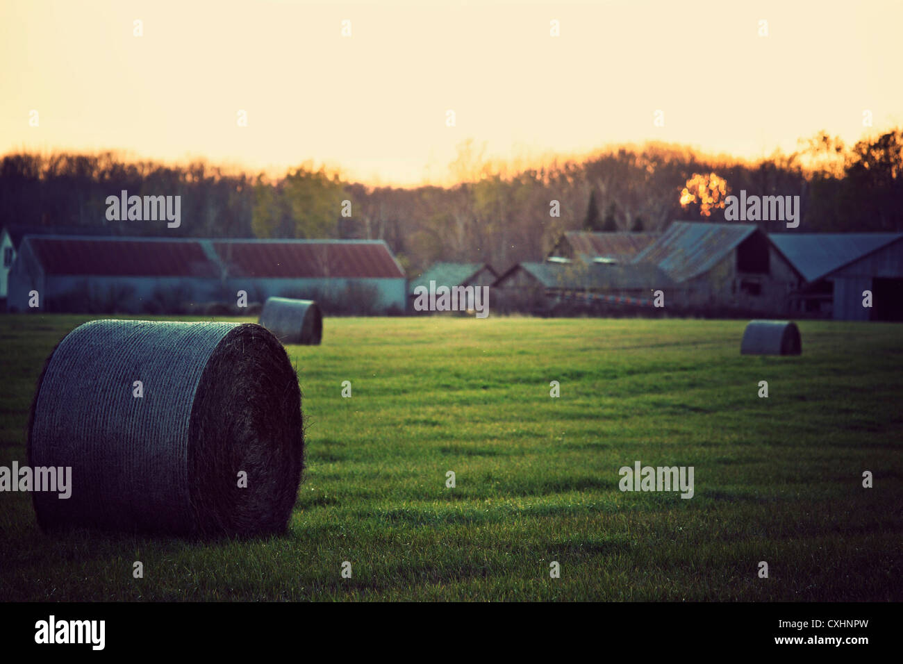 Wi agriculture hi-res stock photography and images - Alamy