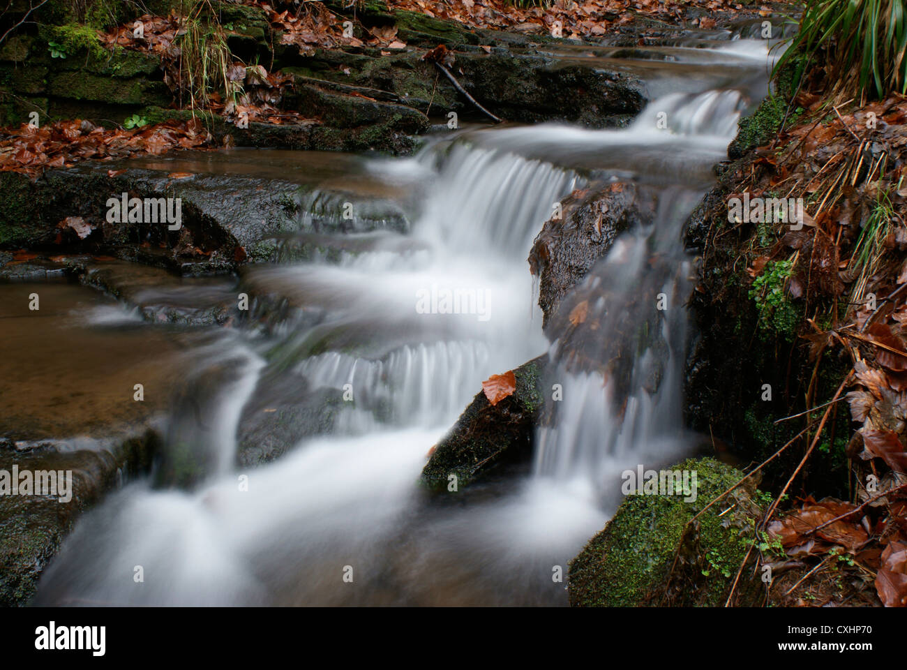 Beeley hi-res stock photography and images - Alamy