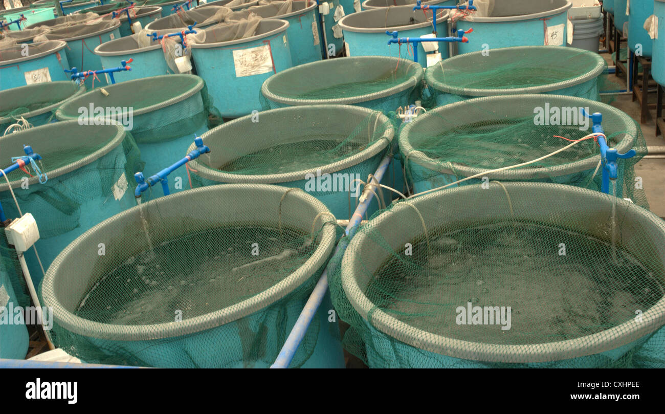 Agriculture aquaculture farm Stock Photo - Alamy