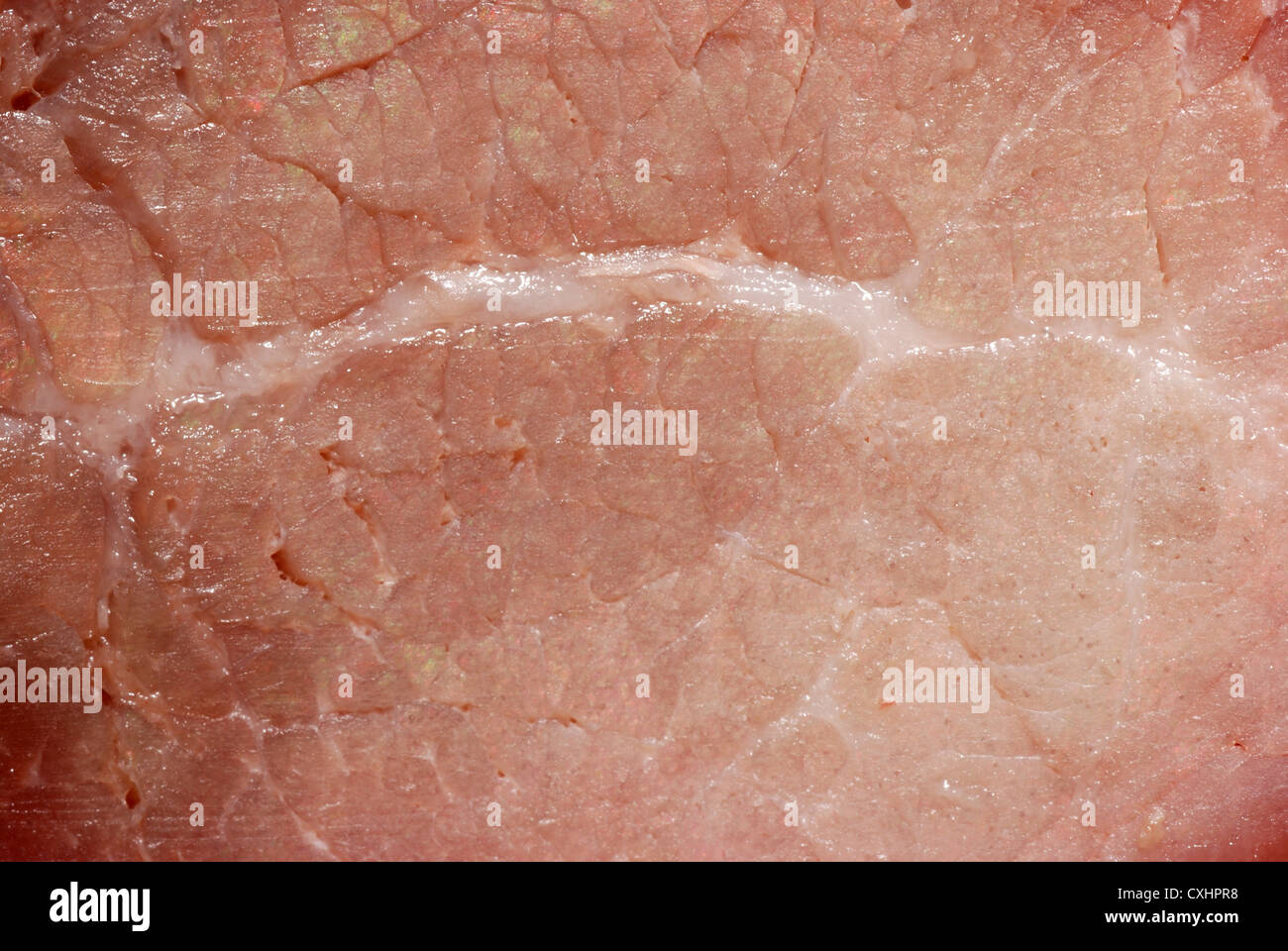 pork meat texture Stock Photo - Alamy