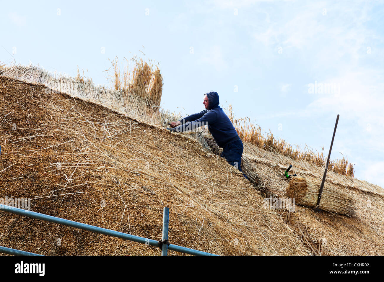 Man thatching house roof with straw workman thatcher packing straw ...