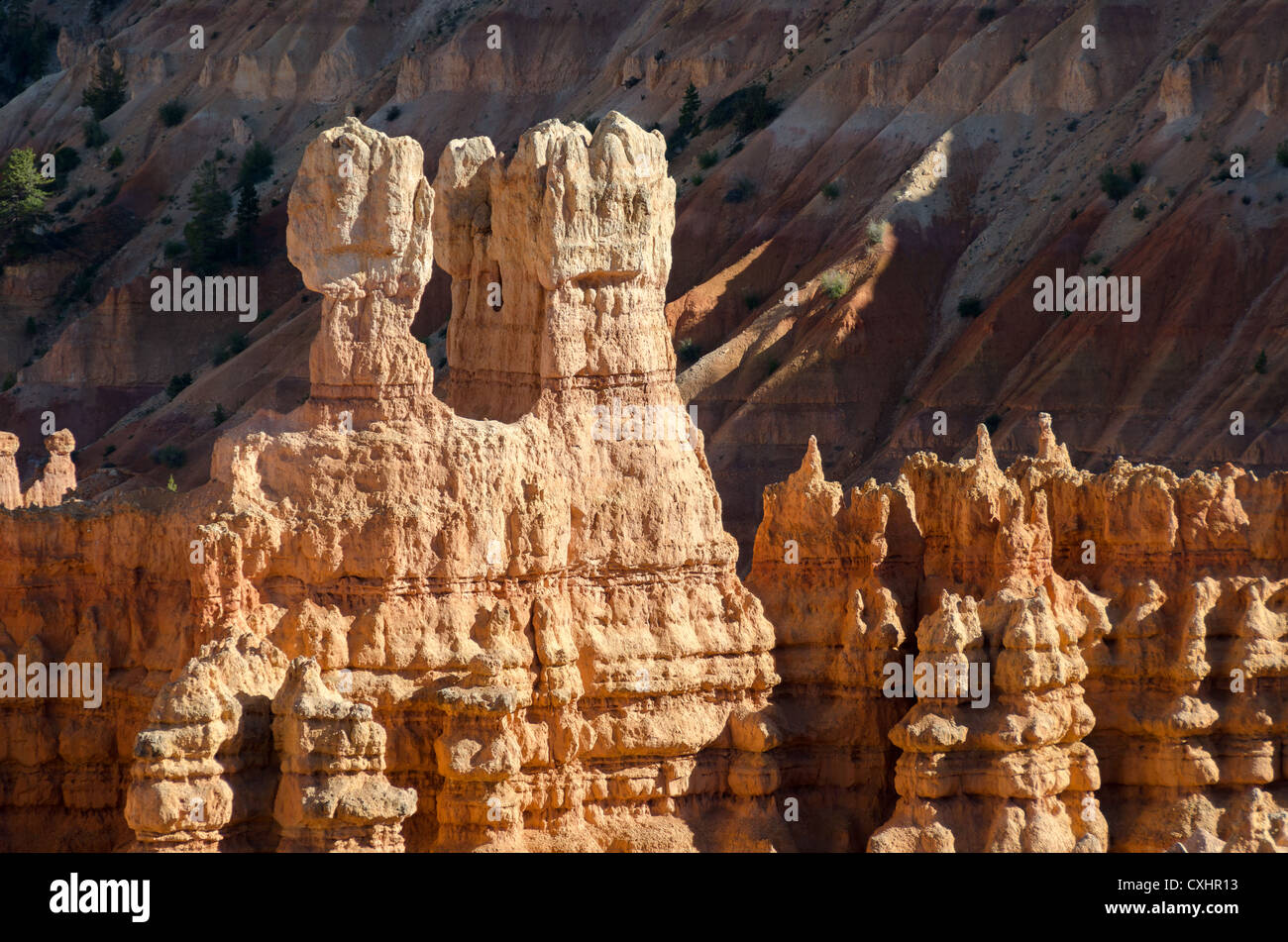 Bryce Canyon in Utah in the United States of America Stock Photo - Alamy
