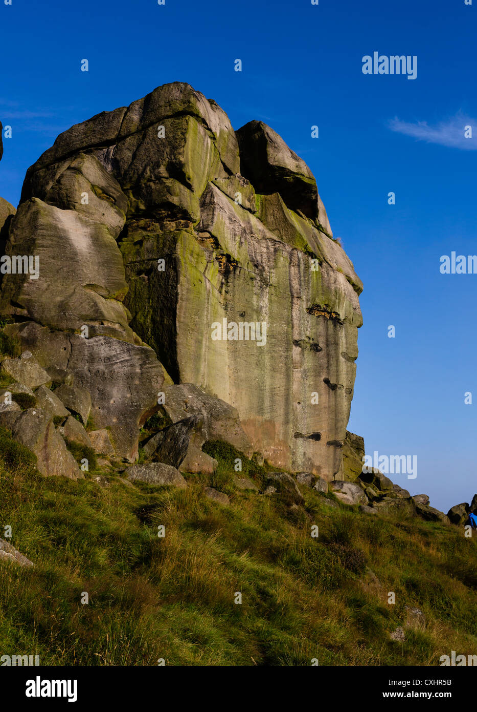 The Cow of The Cow and Calf rocks on Ilkley Moor, West Yorkshire, at ...
