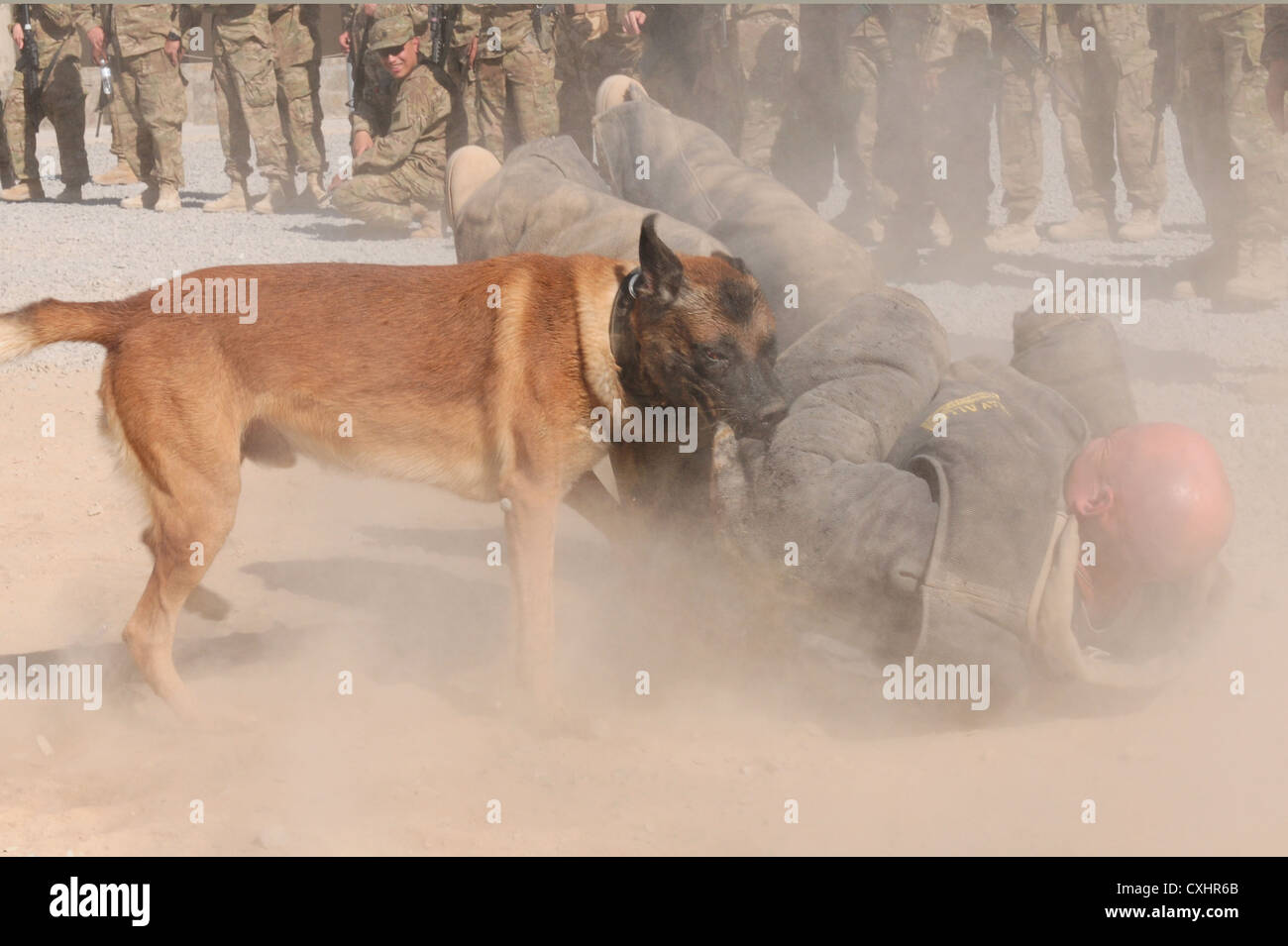 Battalion sergeant major of 3rd battalion hi-res stock photography and ...