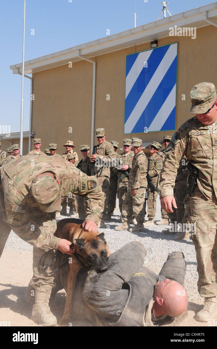 Command Sgt. Maj. David Inglis observes military working dogs during a ...