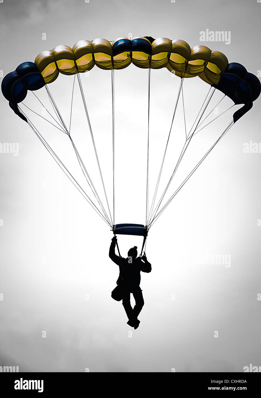 Members u s navy seal team hi-res stock photography and images - Alamy