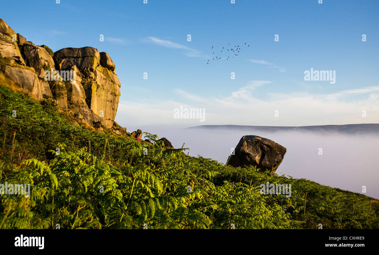 Cow and calf rocks sunrise hi-res stock photography and images - Alamy
