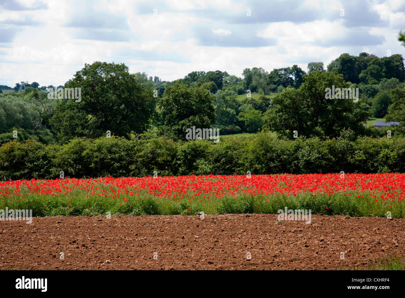 Oxon hi-res stock photography and images - Alamy