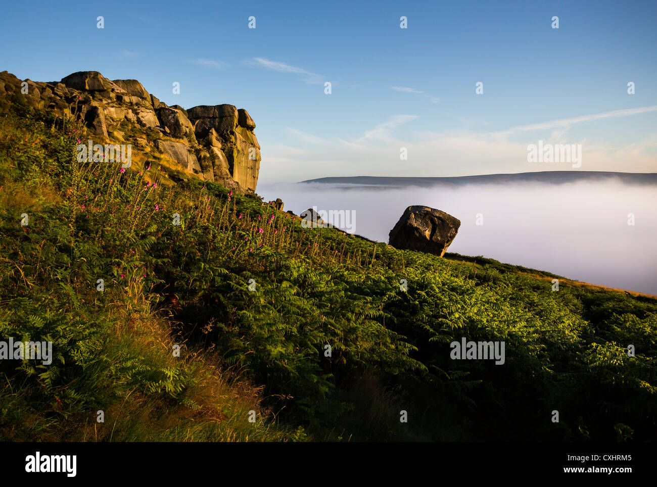 The Cow and Calf rocks on Ilkley Moor, West Yorkshire, at sunrise Stock ...